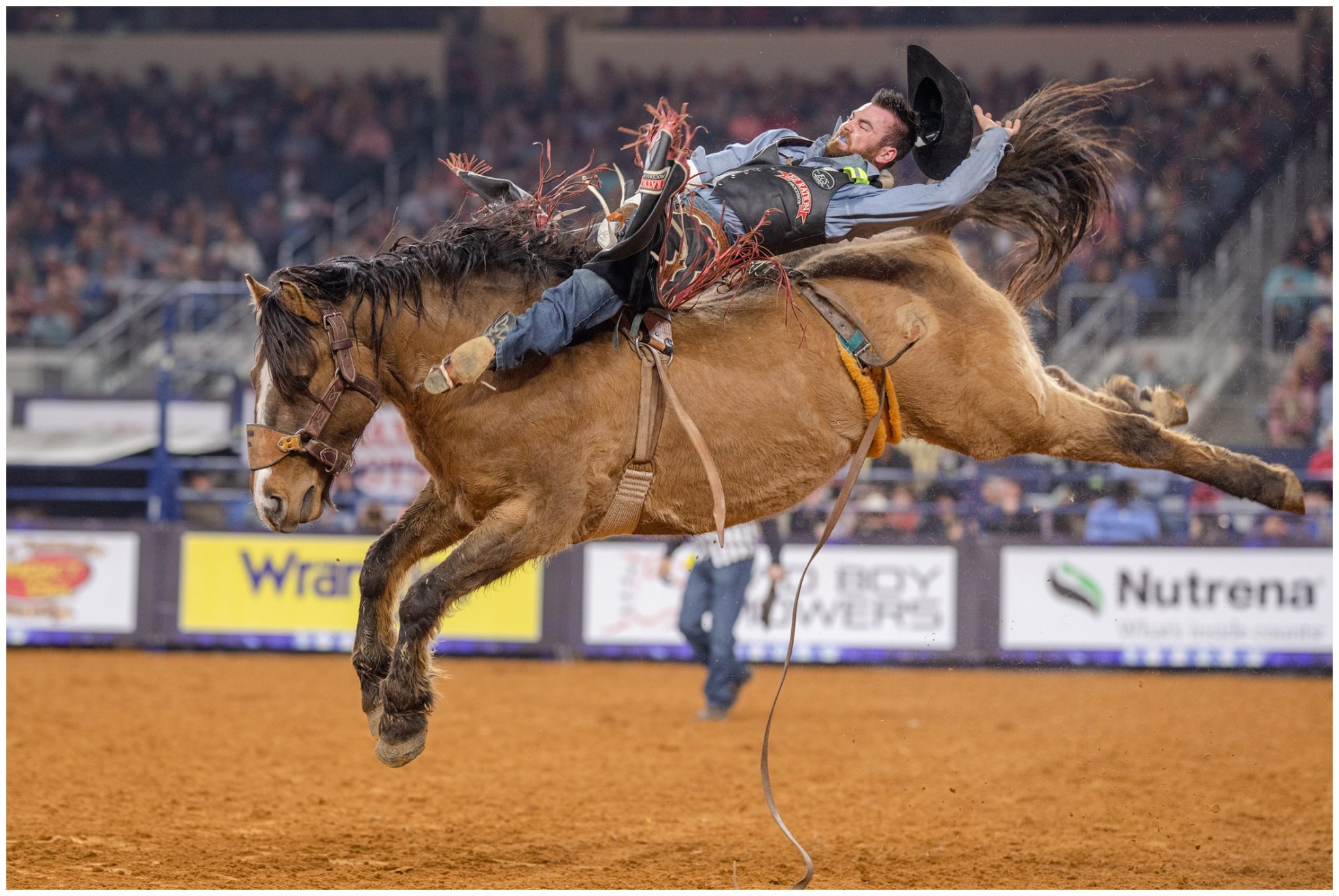 The American Rodeo - Kirstie Marie Photography