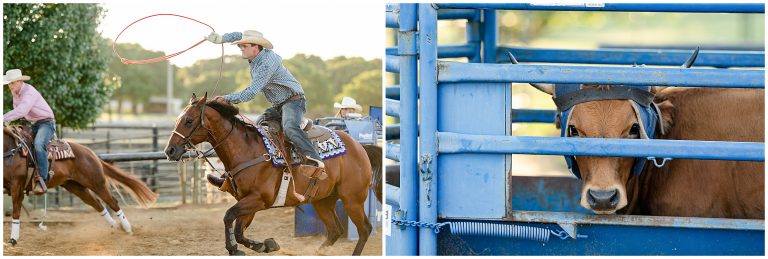 Briggs Performance Horses - Kirstie Marie Photography