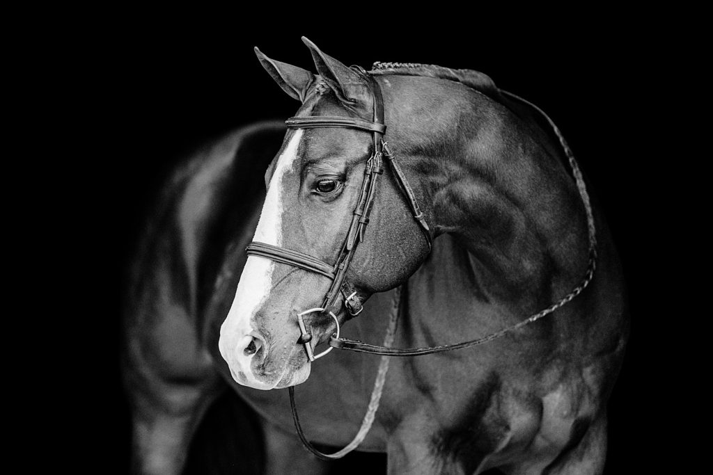 Alexis Miller - Kirstie Marie Photography