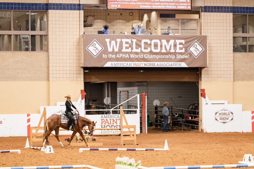 2021 APHA World Show - Kirstie Marie Photography
