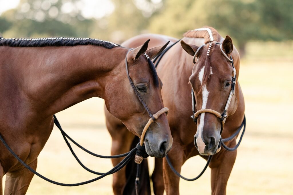 Katie Heflin Steele - Kirstie Marie Photography