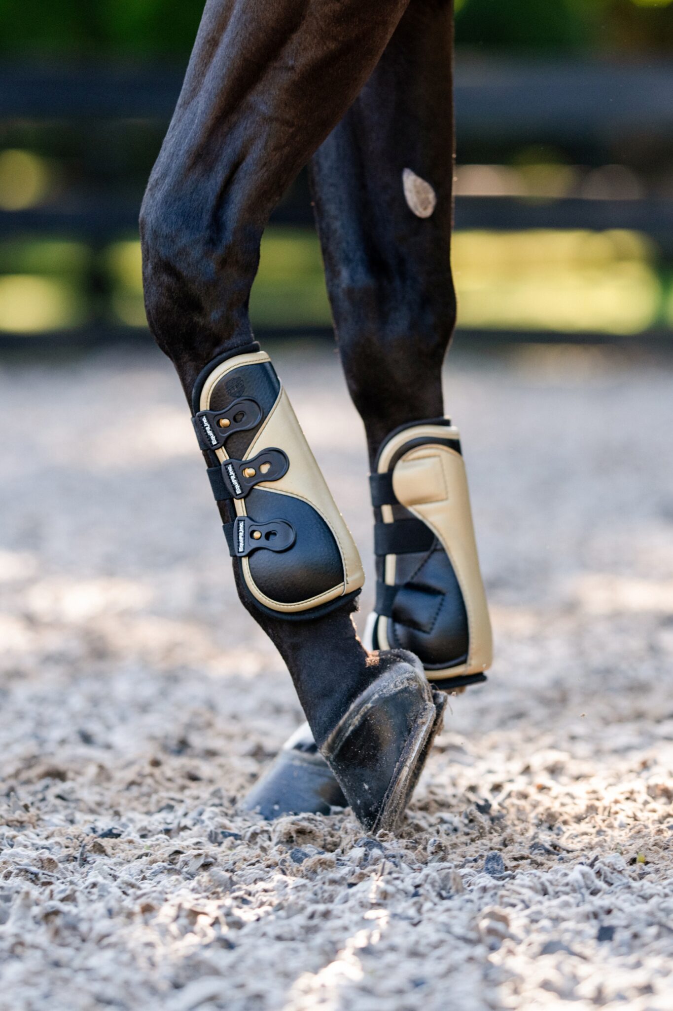 EquiFit - Kirstie Marie Photography
