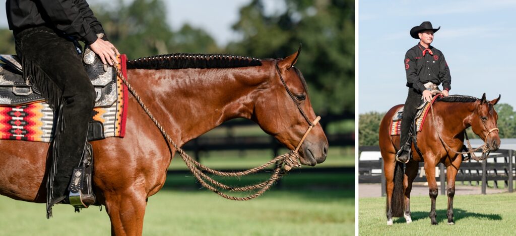 Casey Willis Show Horses - Kirstie Marie Photography
