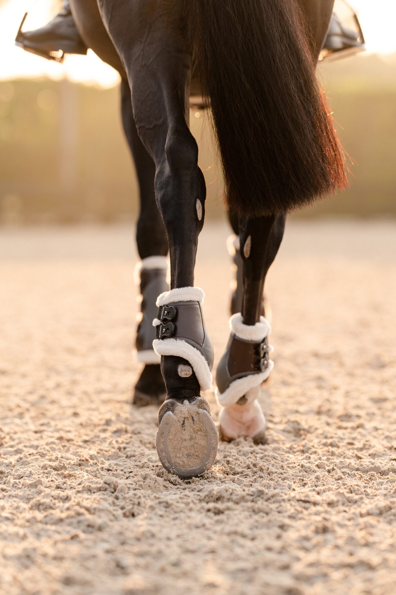 EquiFit - Kirstie Marie Photography