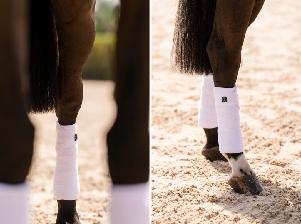 EquiFit - Kirstie Marie Photography