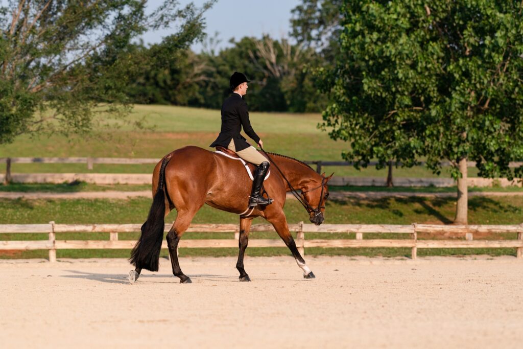 AQHA - Kirstie Marie Photography