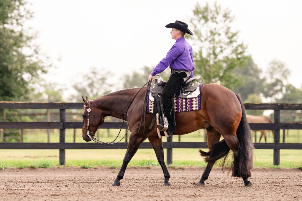 Casey Willis Show Horses - Kirstie Marie Photography