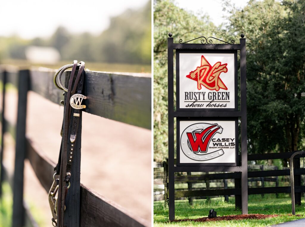 Casey Willis Show Horses - Kirstie Marie Photography
