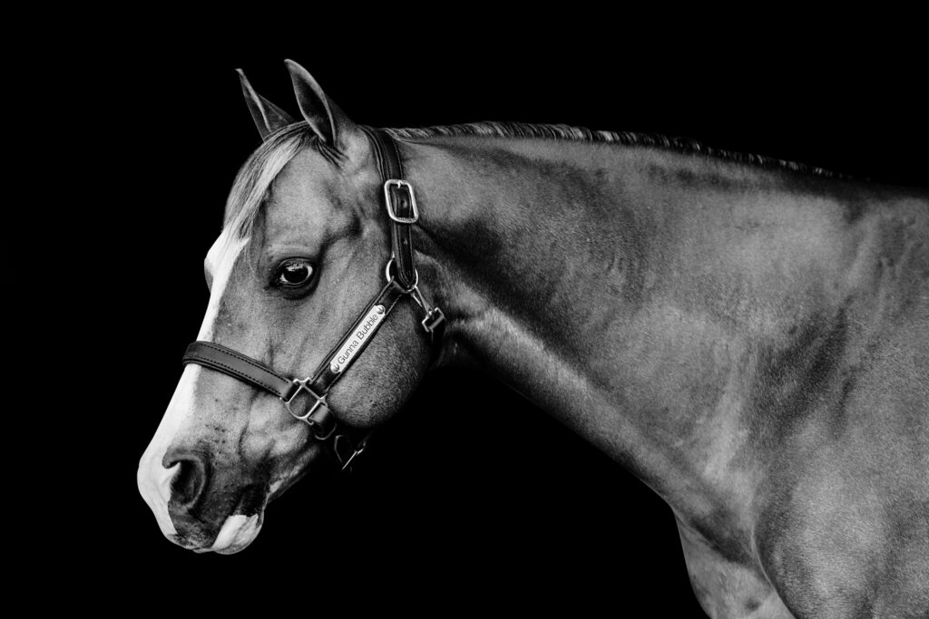 Colleen Smith - Kirstie Marie Photography