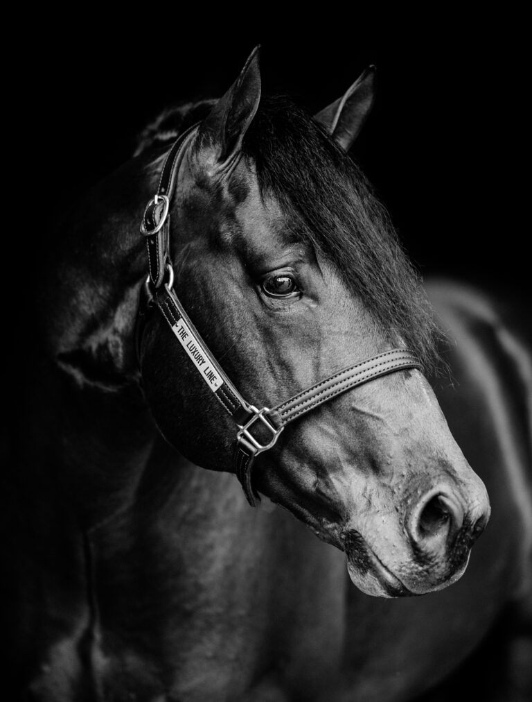 The Luxury Line - Kirstie Marie Photography