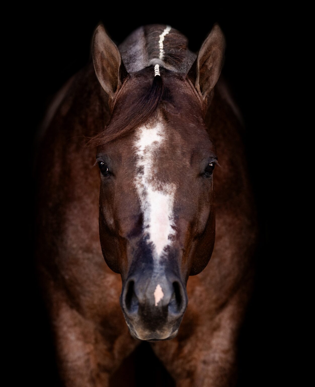 Katie Van Slyke - Kirstie Marie Photography